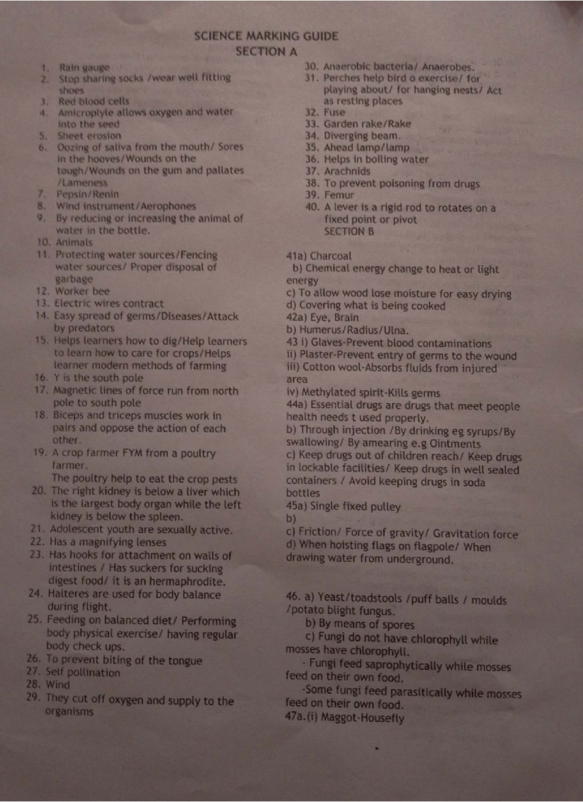 SCI 101 Final Exam Marking Guide: Sections A & B Overview - Studocu