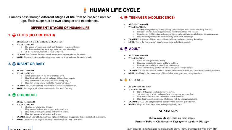HUMAN LIFE CYCLE: Stages from Fetus to Old Age Overview - Studocu