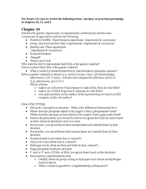 Translation and Protein Synthesis: Processes, Phases, and Mechanisms - The Complex Process of ...