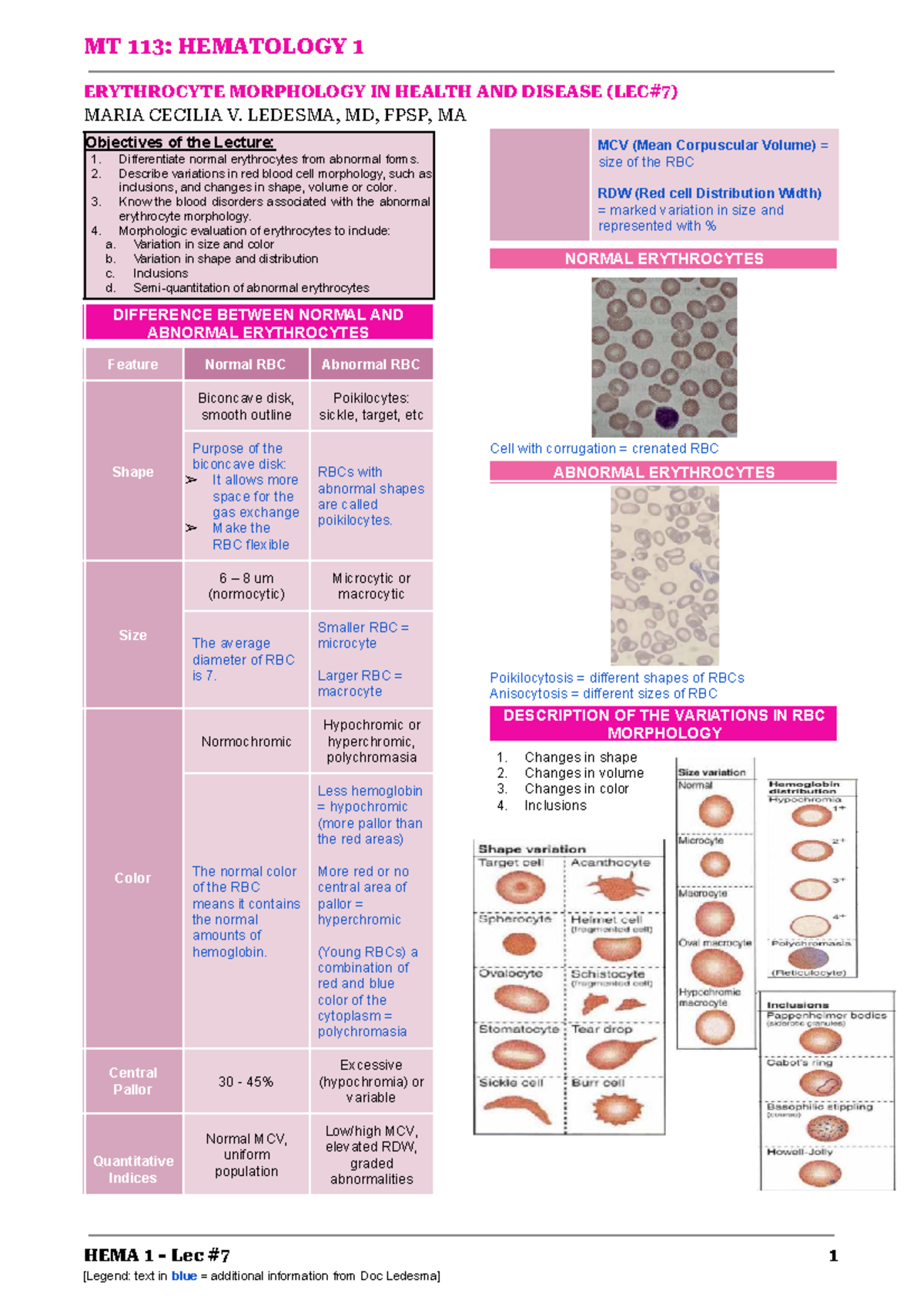 MT 113: HEMATOLOGY 1 Erythrocyte Morphology in Health & Disease - Studocu
