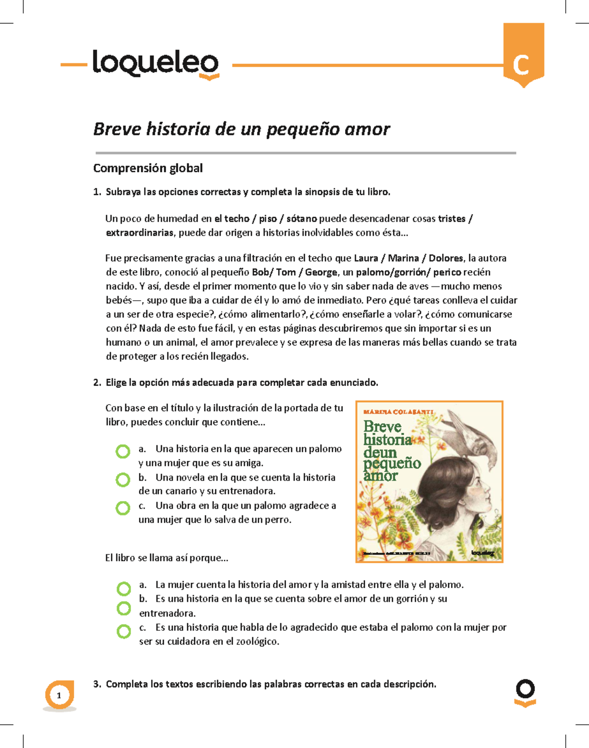 C 1 - Breve historia de un pequeño amor: Actividades de Comprensión ...