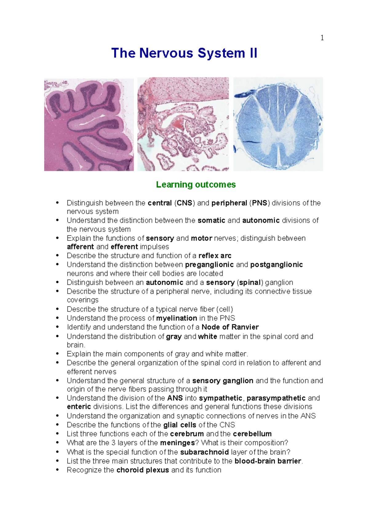 CNS 1: The Nervous System II - Key Concepts and Functions - Studocu