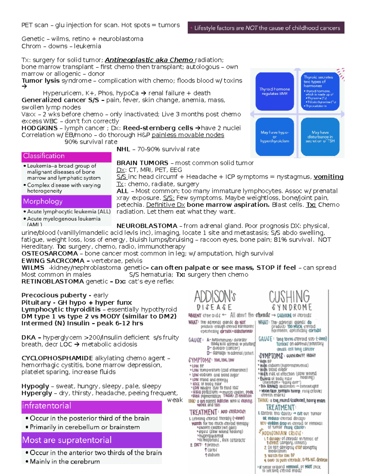Quiz 4 notes - PET scan – glu injection for scan. Hot spots = tumors ...
