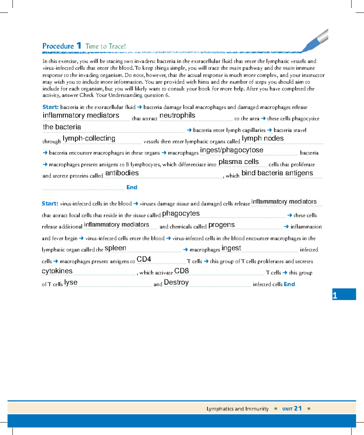 Unit 21 Exercise 21-3 Procedure 1 - Lymphatics and Immunity n UNIT 21 n ...