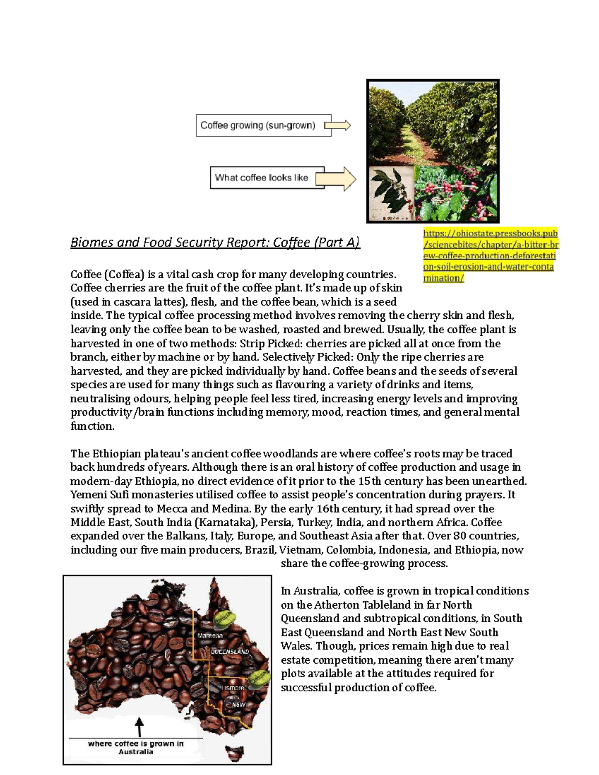 Biomes and Food Security Report: Coffee (Coffea) Overview and Impact ...