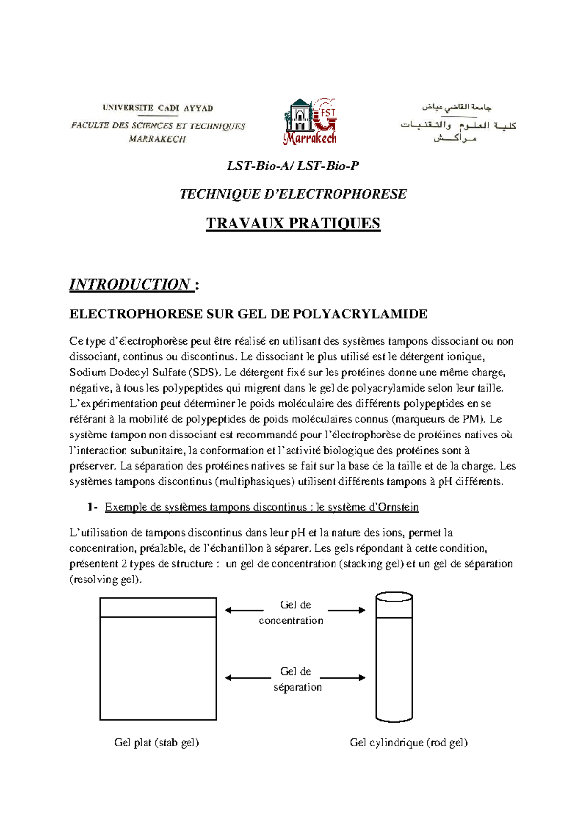 TP d'Électrophorèse sur Gel de Polyacrylamide - LST 20 21 - Studocu