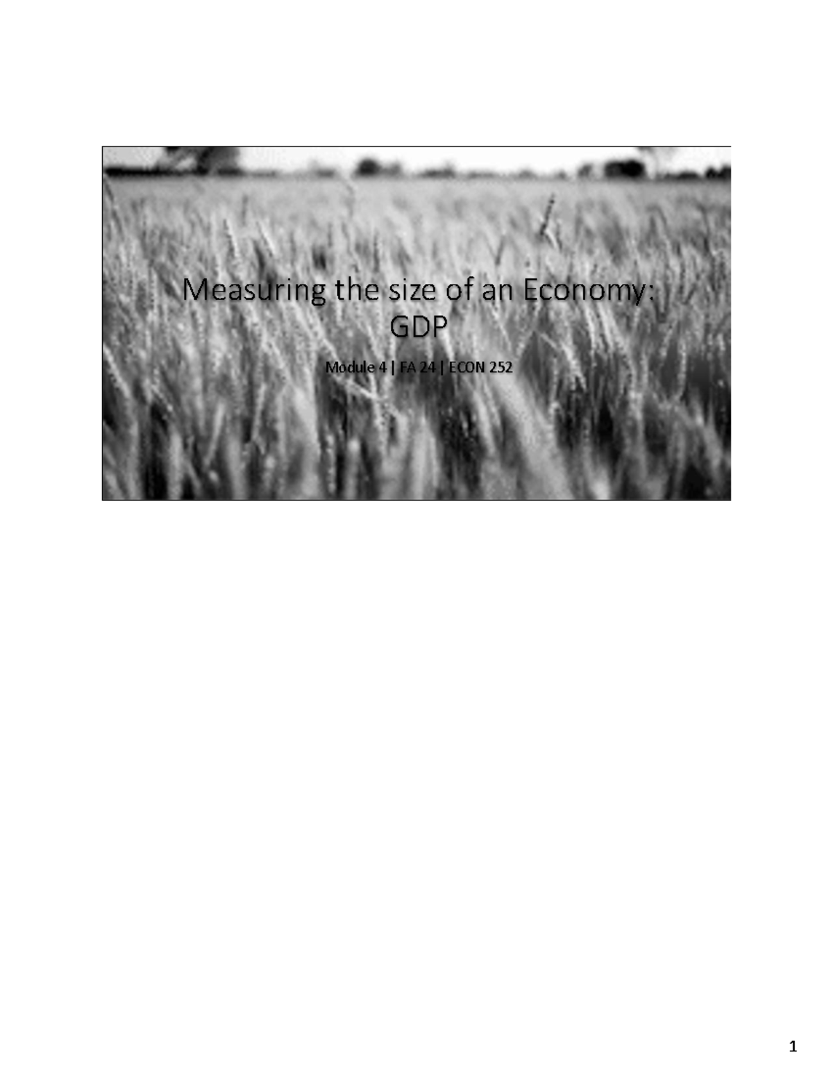 Measuring Economic Activity: Understanding GDP (ECON 252) - Studocu