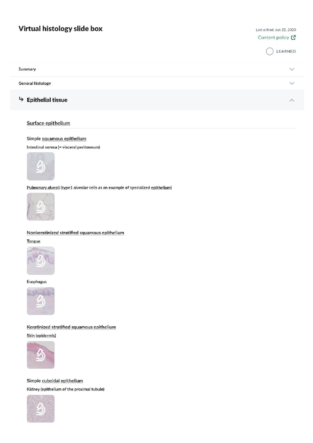 Virtual Histology Slide Box: Detailed Exploration of Epithelial Tissues ...