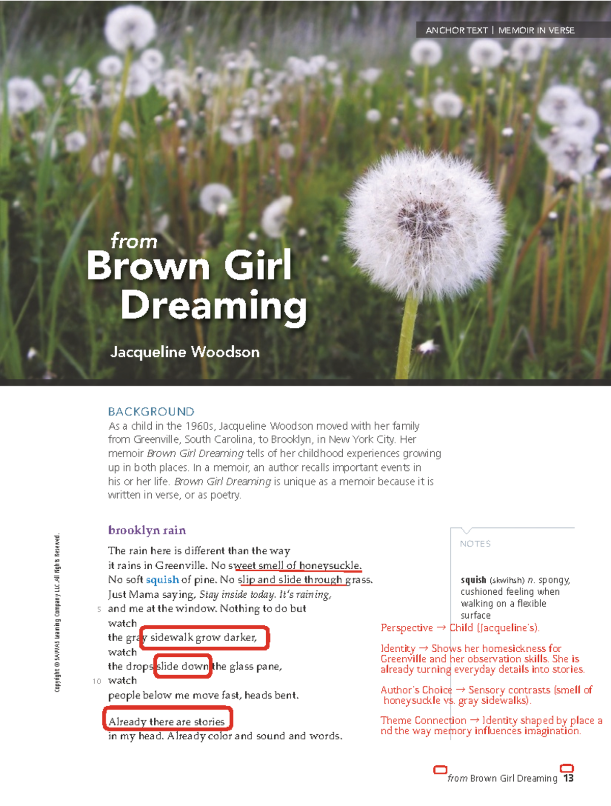 Annotated Poems from Brown Girl Dreaming (ENG 101) - Studocu