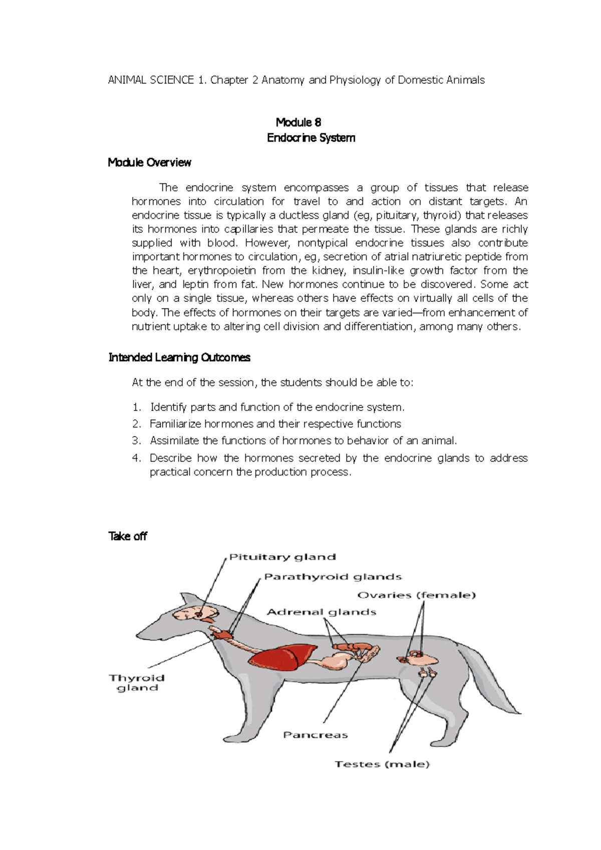 ANIMAL SCIENCE 1: Module 8 - Endocrine System Overview and Functions ...