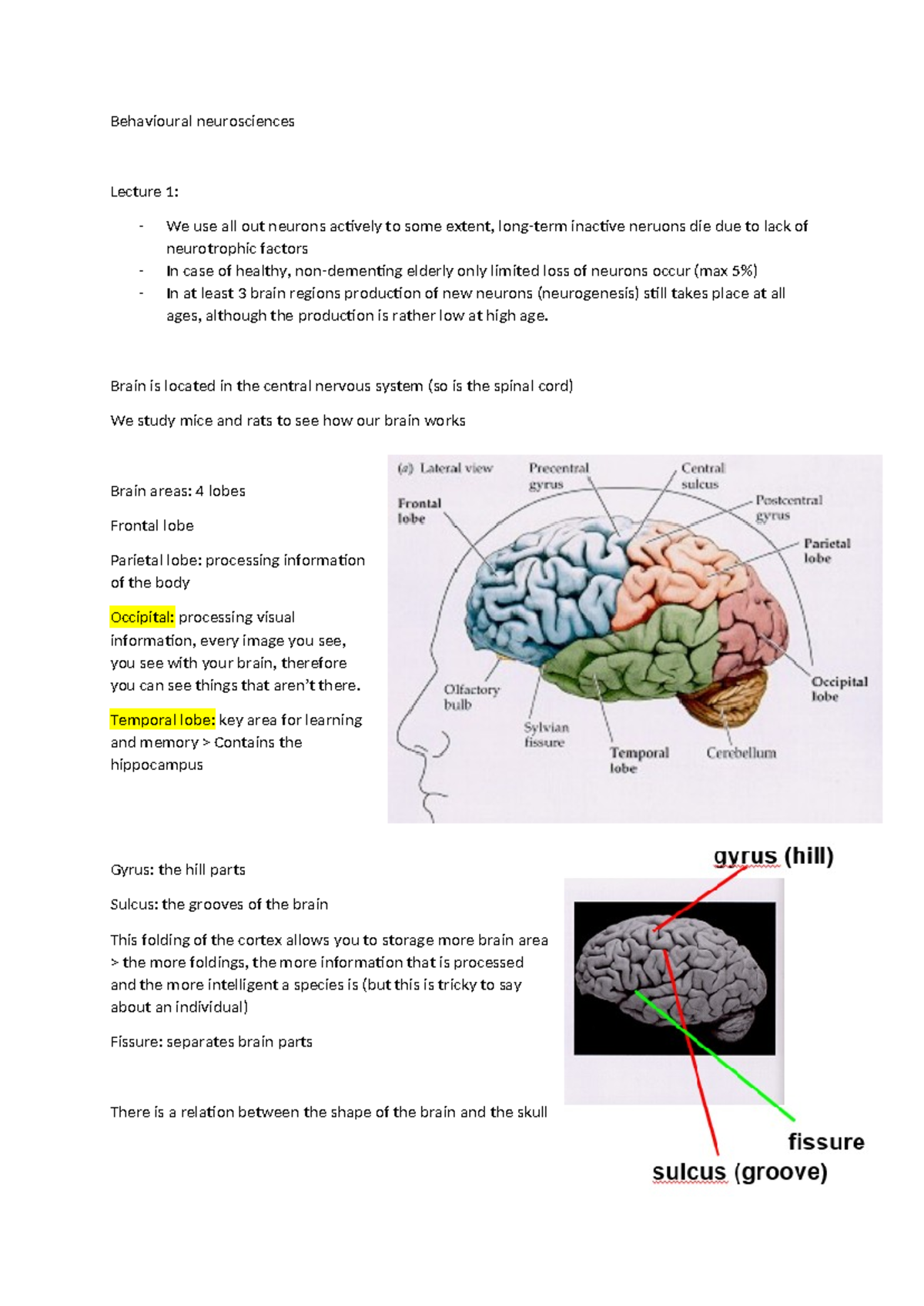 BEH 101: Intro to Behavioural Neurosciences - Lecture 1 Summary ...