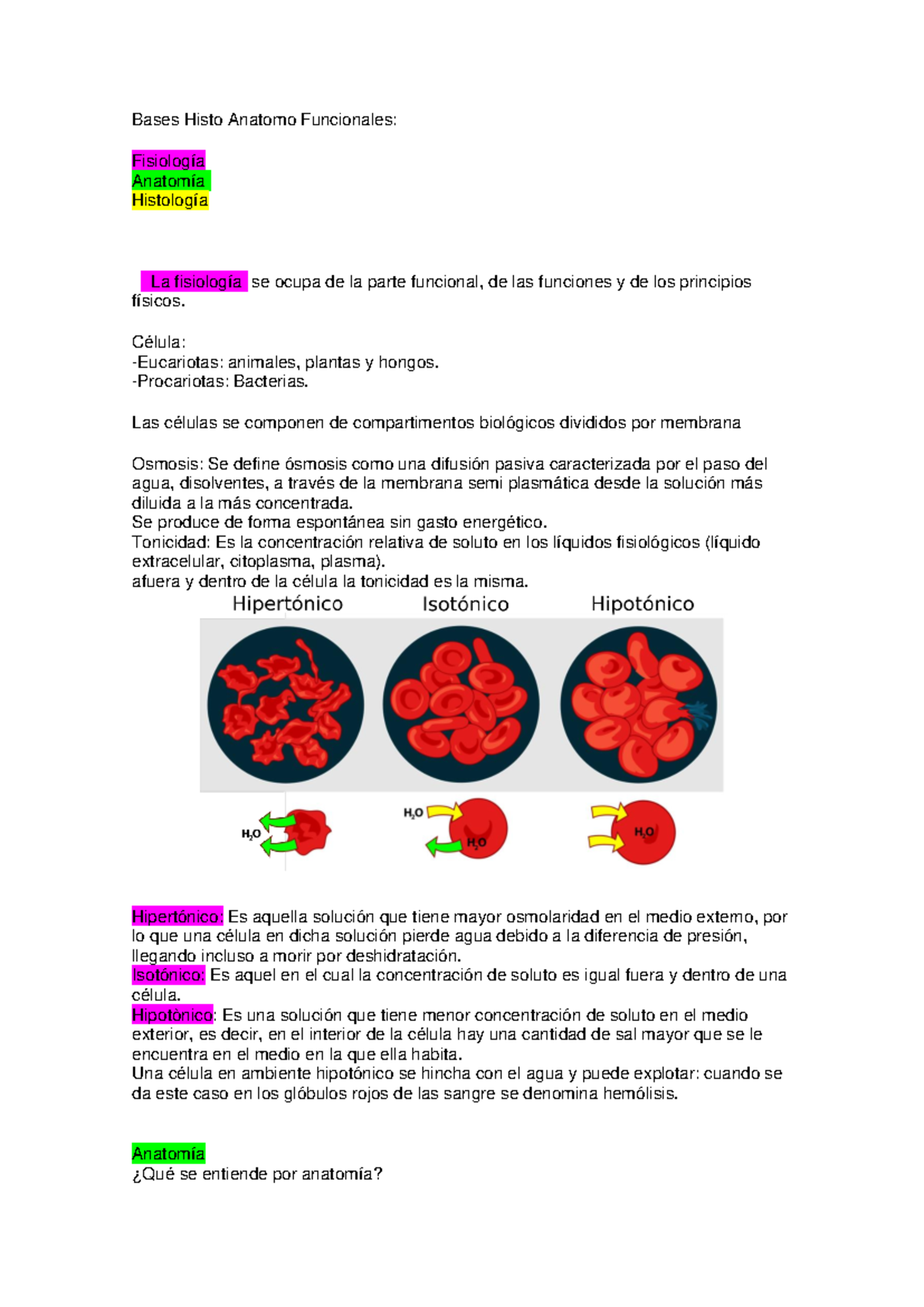 Bases histo anatomo - ... - Bases Histo Anatomo Funcionales: Fisiología ...