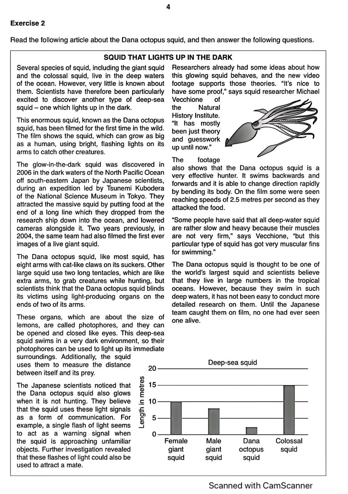 Reading HW 600 - Dana Octopus Squid & English Comprehension Exercises ...