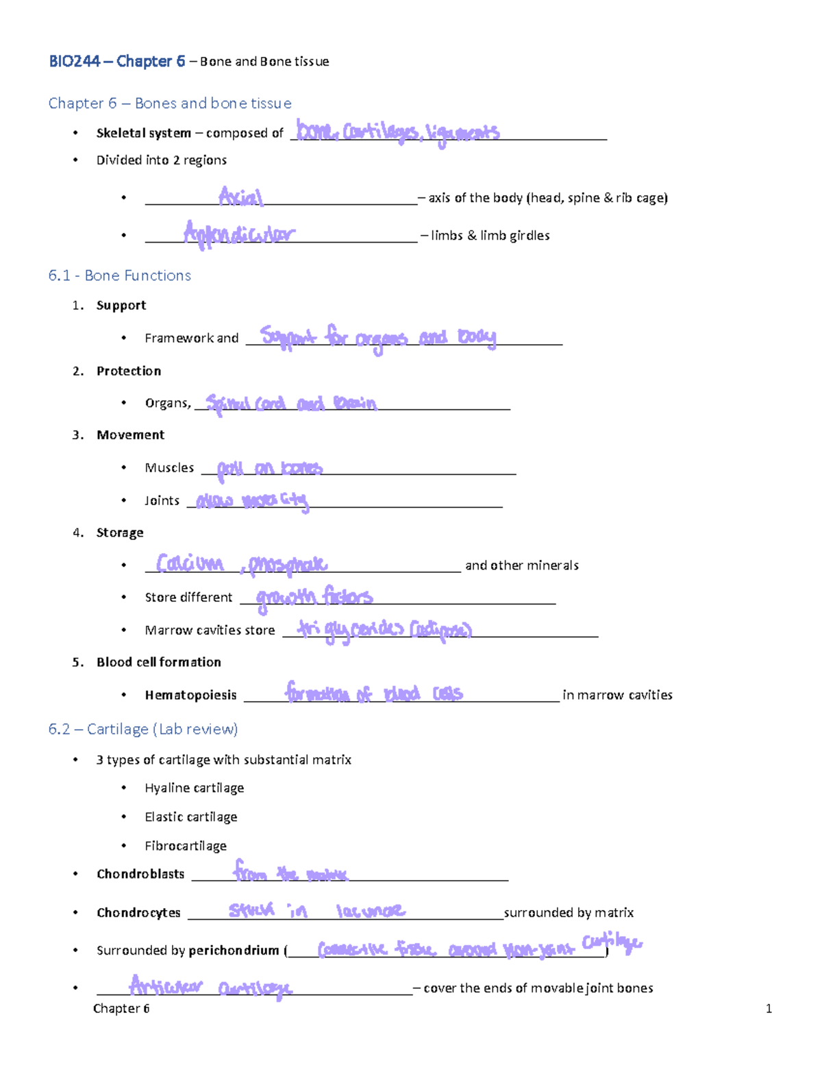 BIO244 – Chapter 6 – In-Depth Study of Bone Structure and Function ...