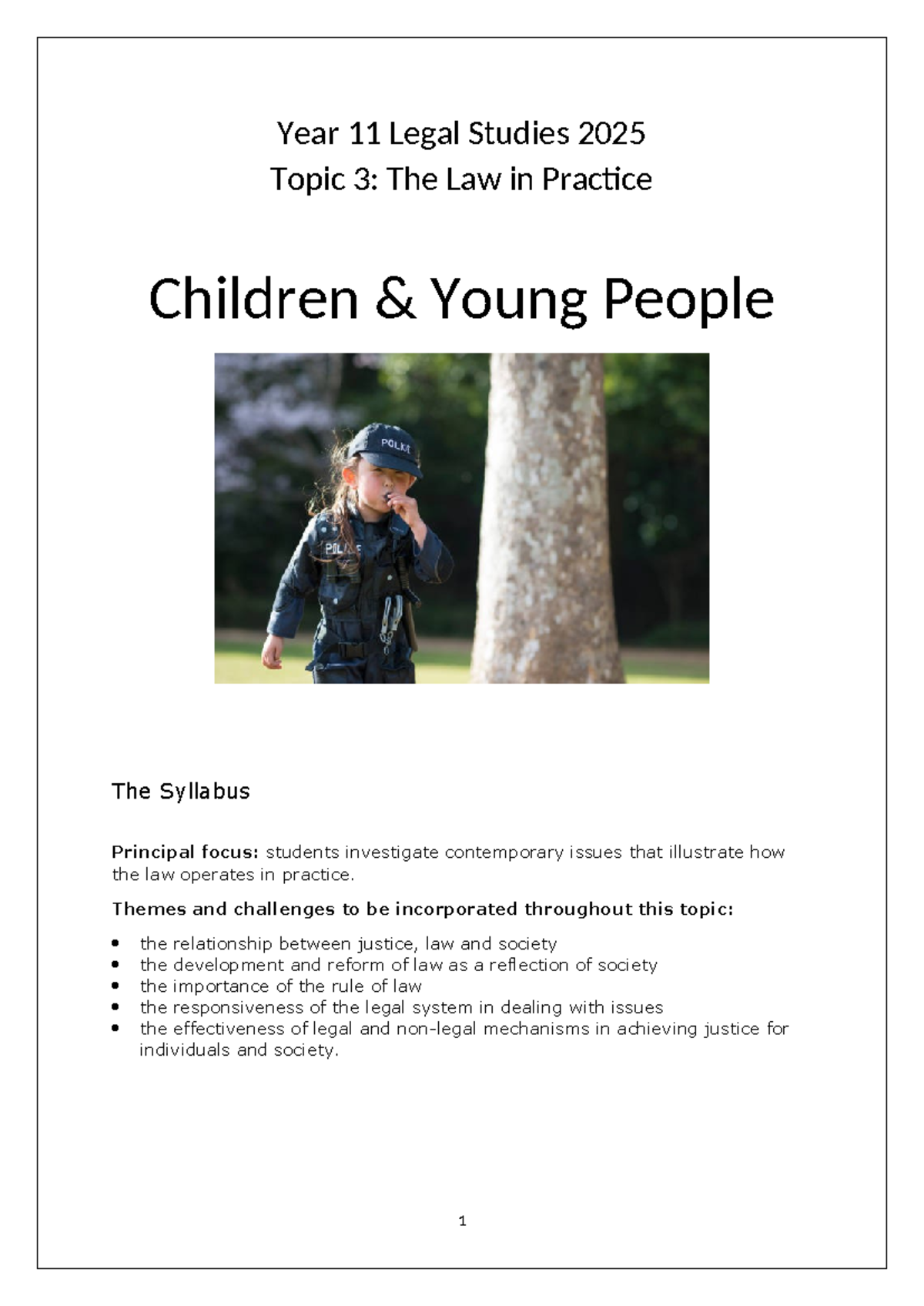 Year 11 Legal Studies 2025: The Law in Practice - Children & Young ...