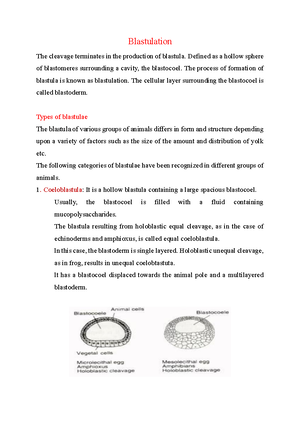 Type of eggs - mesolecithal , telolecithal - Type of Eggs The eggs are ...
