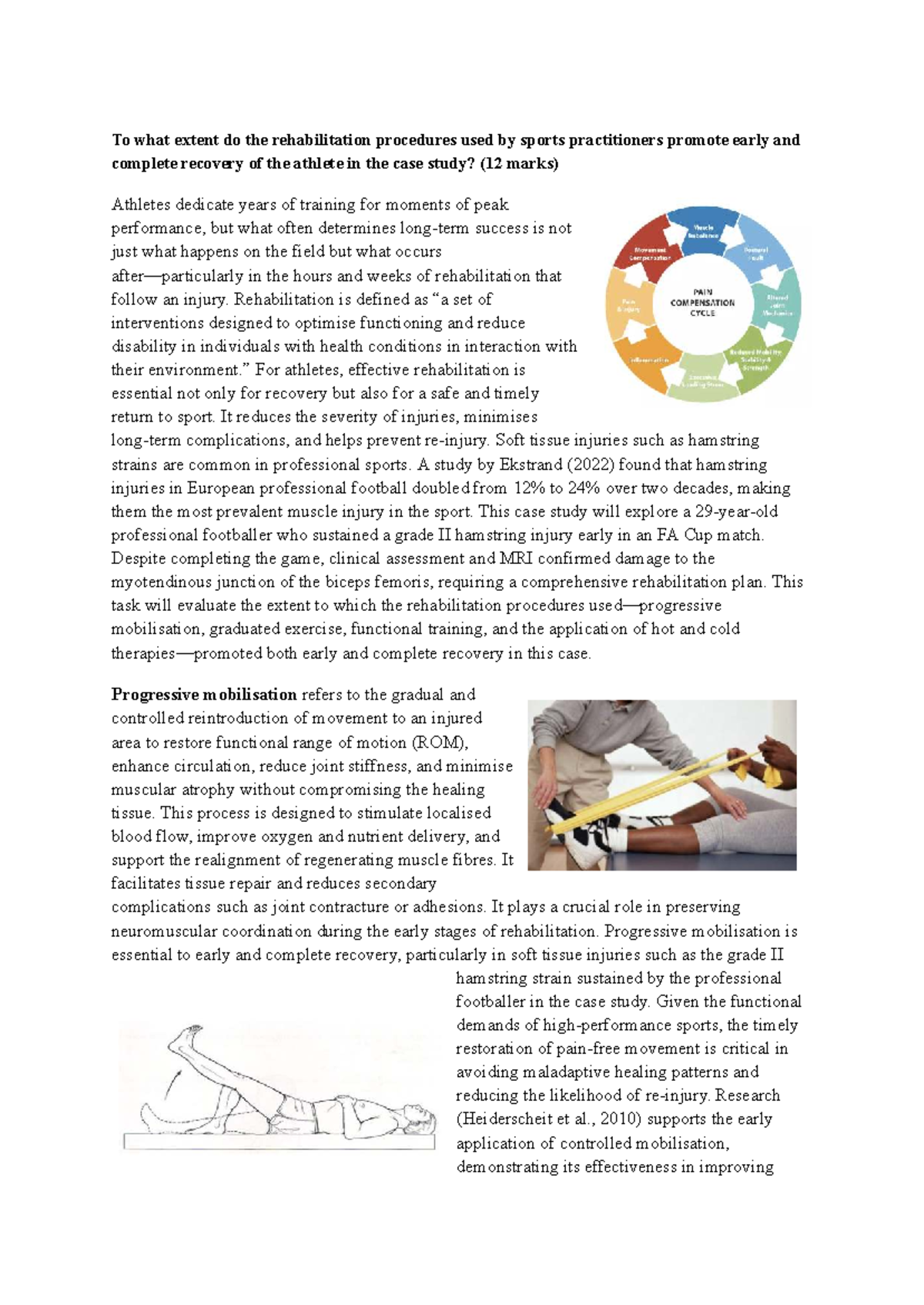 Rehabilitation Procedures for Grade II Hamstring Strain: A Case Study ...