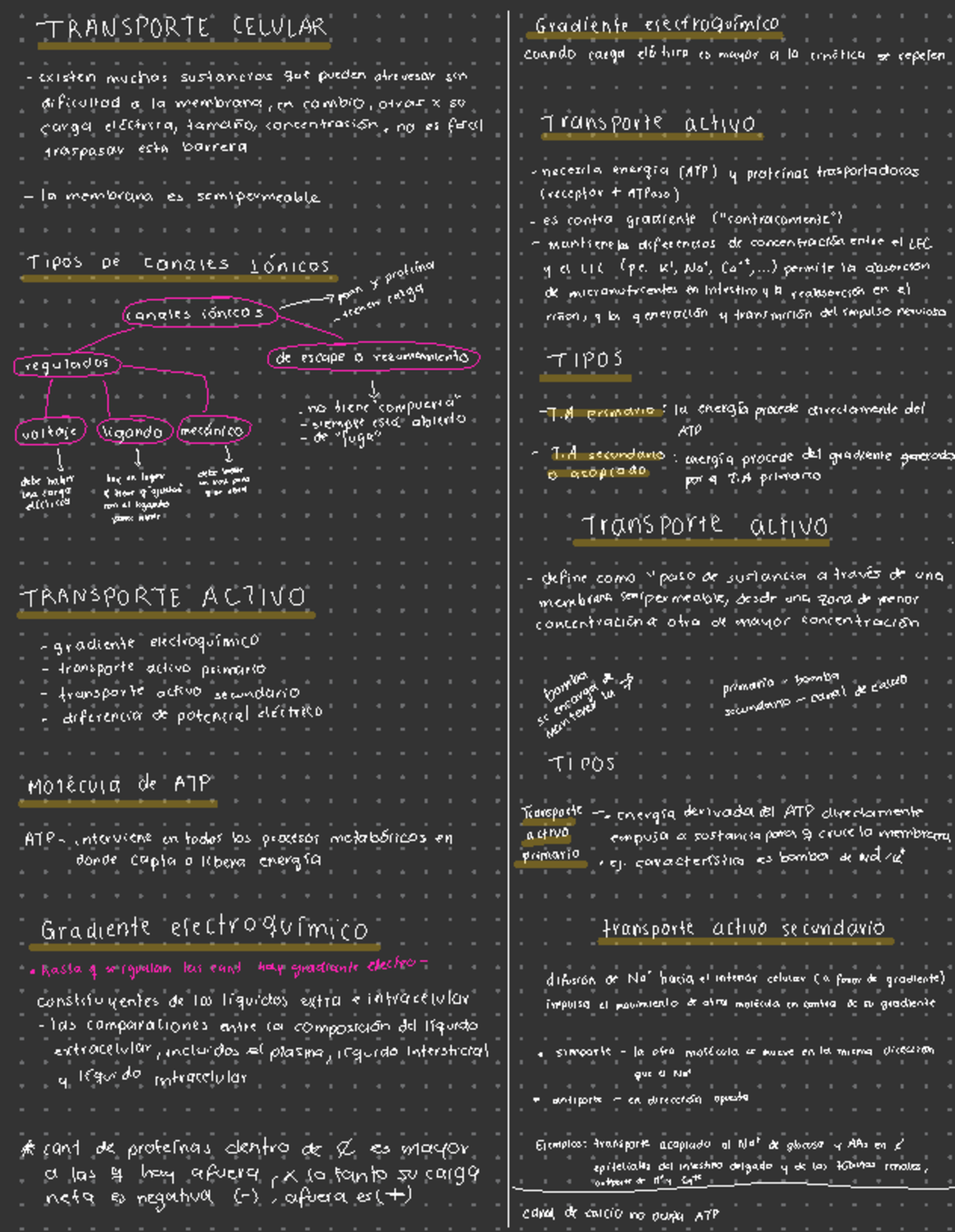 Transporte Celular - apunte - TRANSPORTE CELULAR Gradiente ...