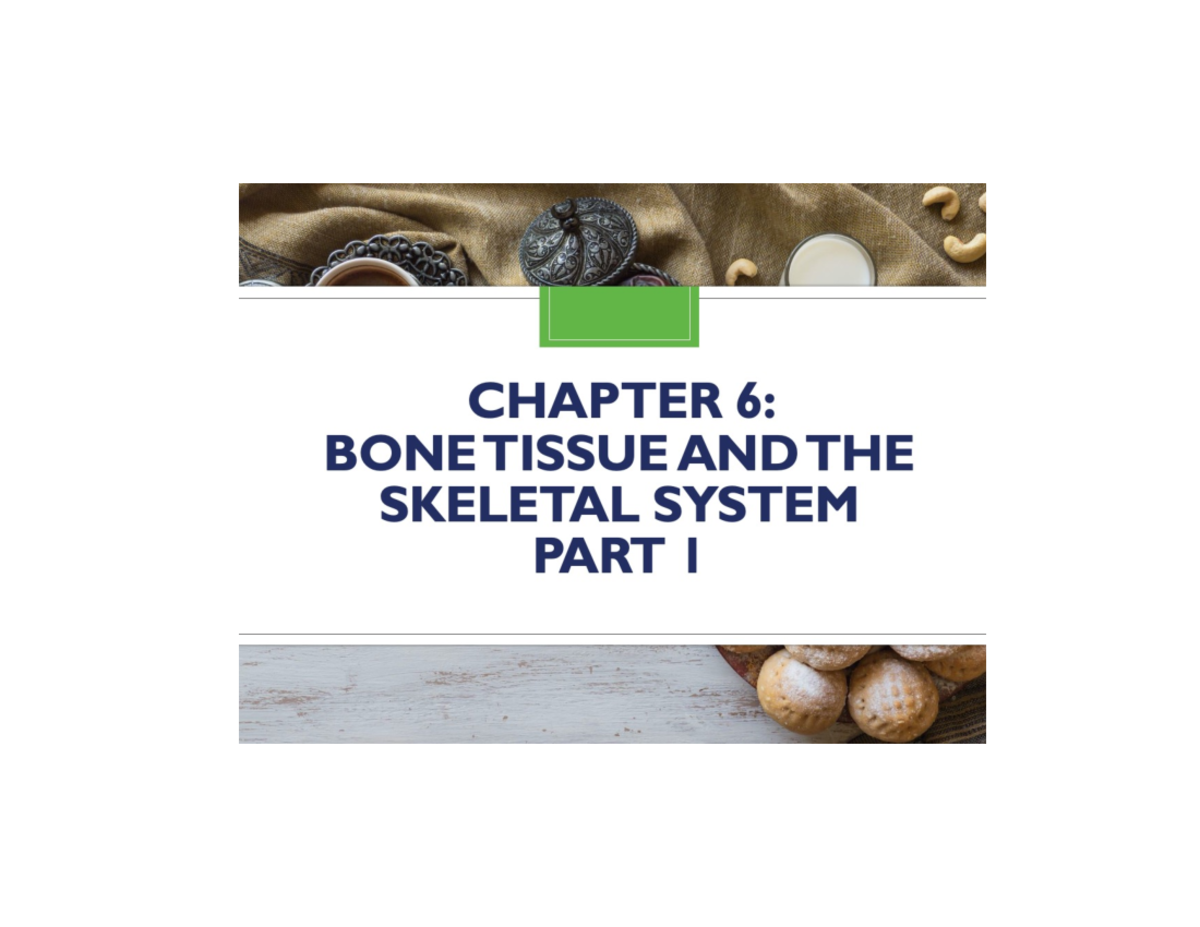 Ch6 Skeletal System Part1 S25 - Bone tissue and Skeletal System ...