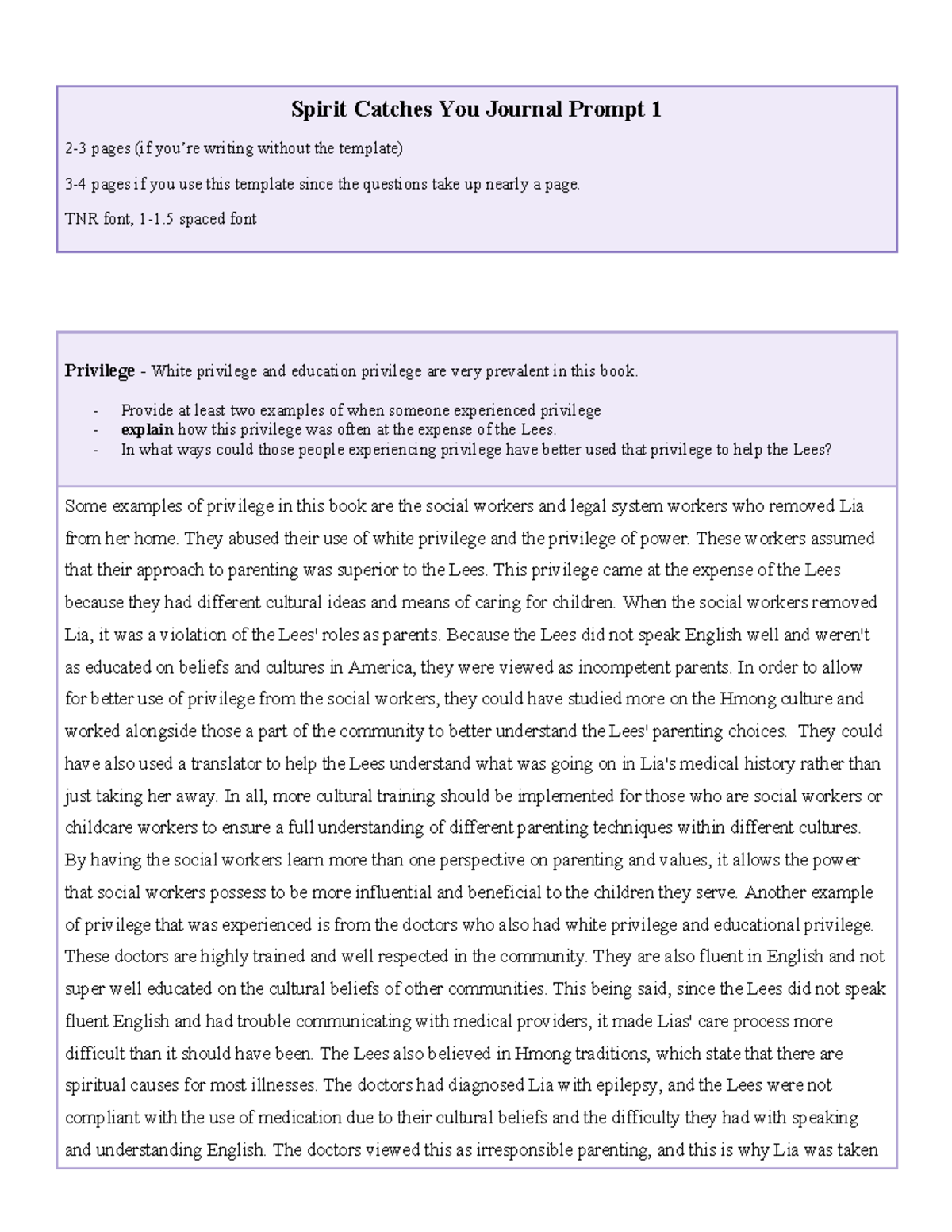 Spirit Catches You Journal Prompt 1: Examining Privilege and Oppression ...