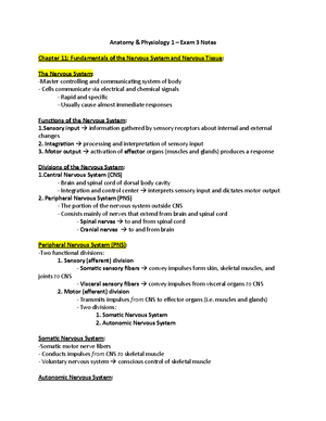 Comprehensive CNS and Reflexes Overview - Anatomy and Function Insights ...