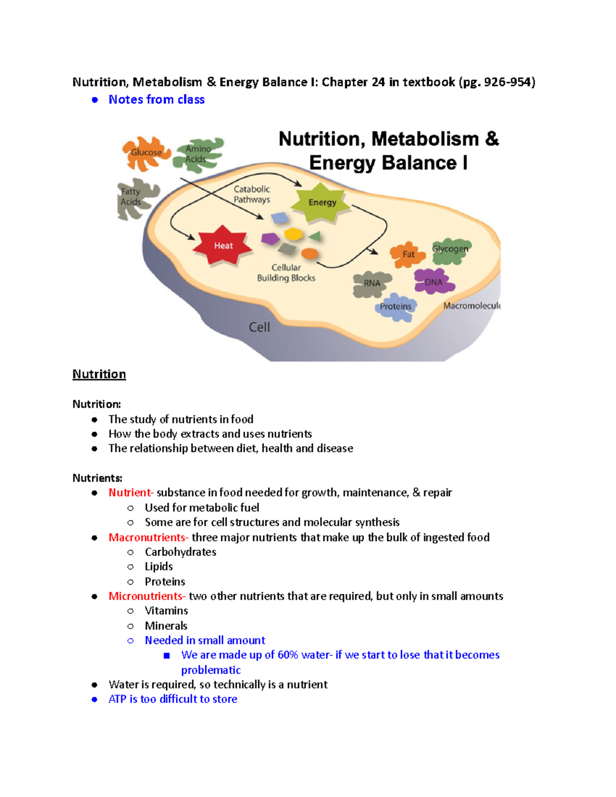 Lecture 2: Nutritional Metabolism & Energy Balance I Notes - Studocu