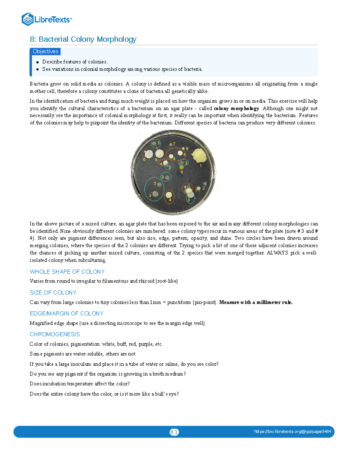 Bacterial Colony Morphology Techniques: Features & Identification ...