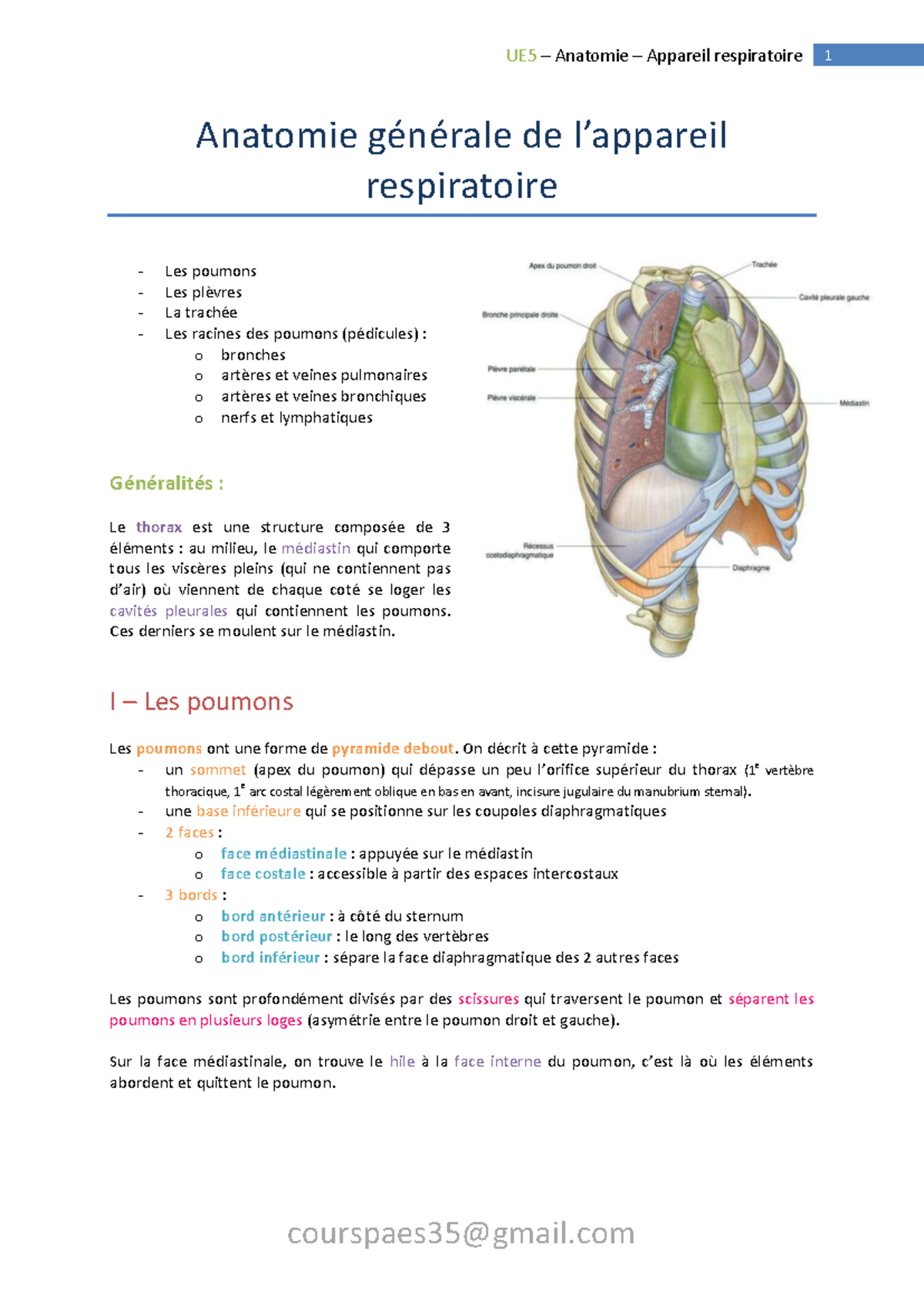 Appareil respiratoire - Anatomie générale de l’appareil respiratoire ...