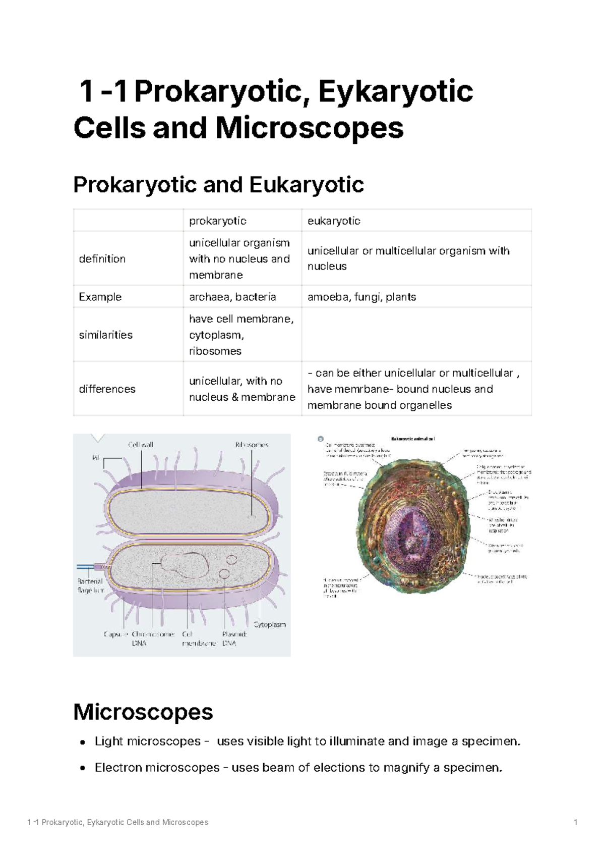 1-1 Prokaryotic & Eukaryotic Cells: Microscopes Overview - Studocu