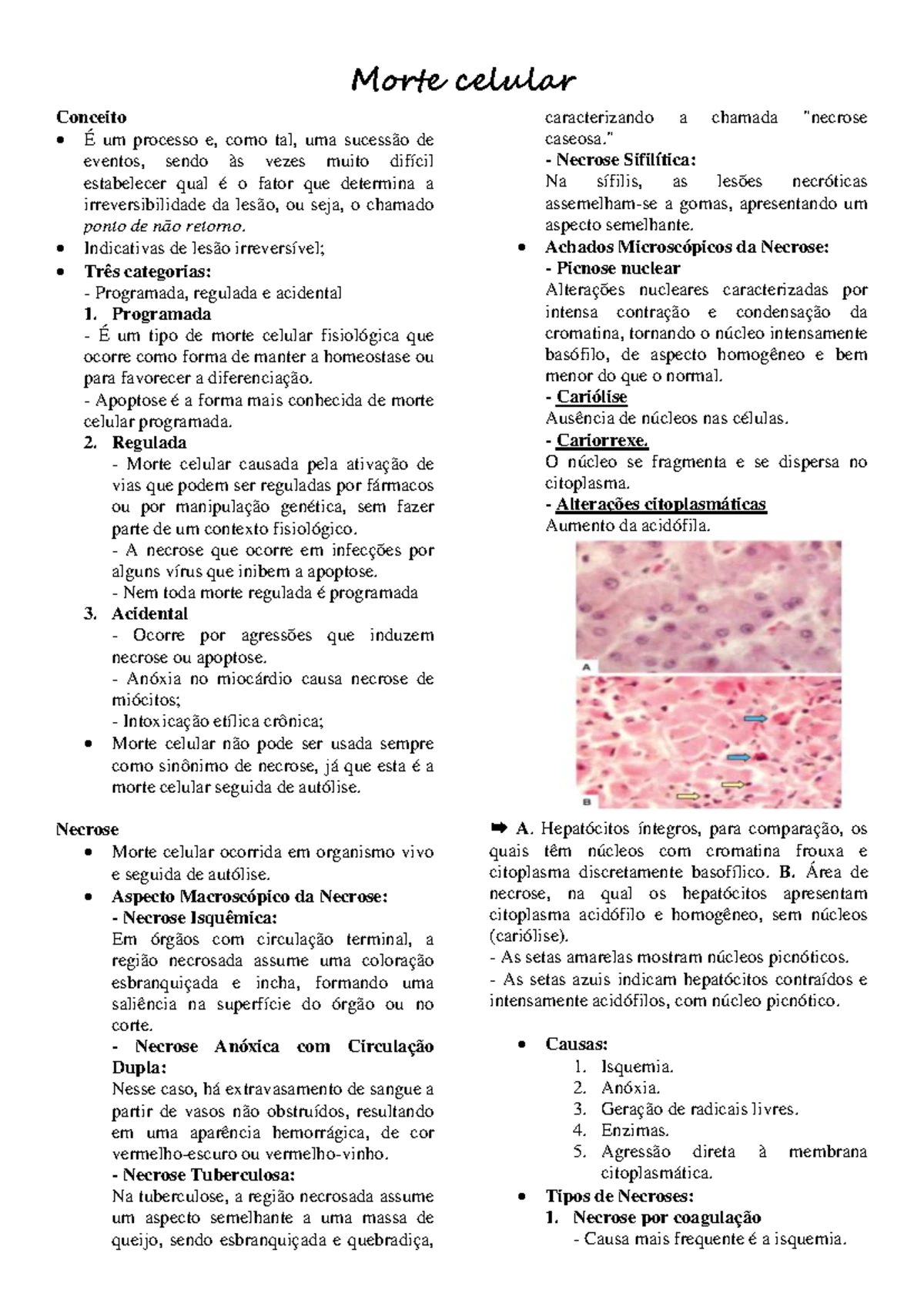Processos de Lesão e Morte Celular: Conceitos Fundamentais em Patologia - Studocu