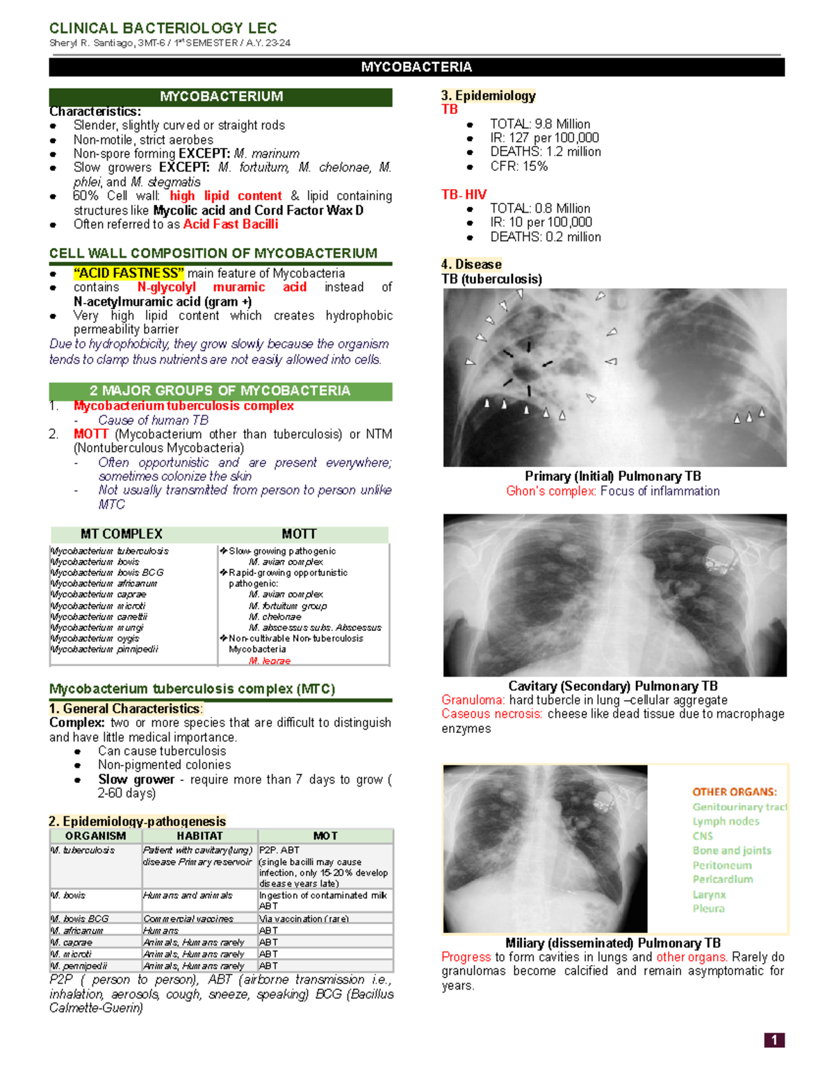 Mycobacteria Overview: Bacte Midterms L3 Insights on Pathogenicity ...