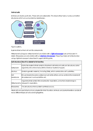 [Solved] With relevant examples discuss any 5 benefits of a traditional ...