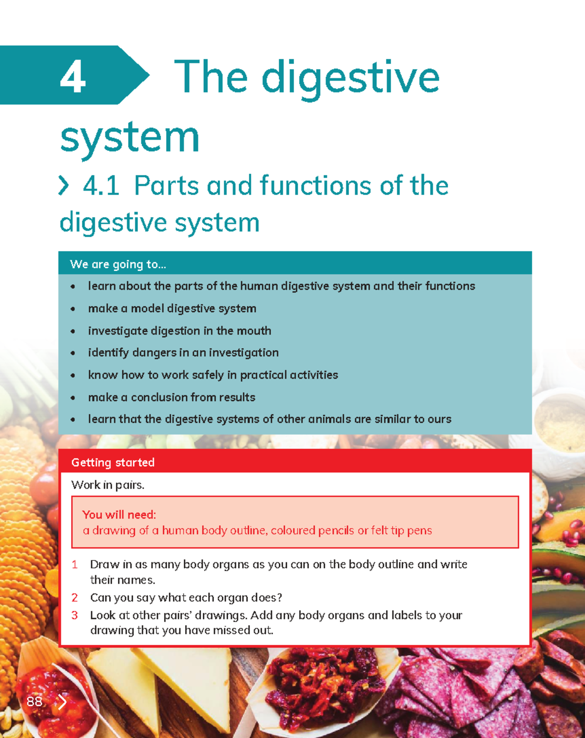Cambridge Primary Science 5: Digestive System Overview and Activities ...