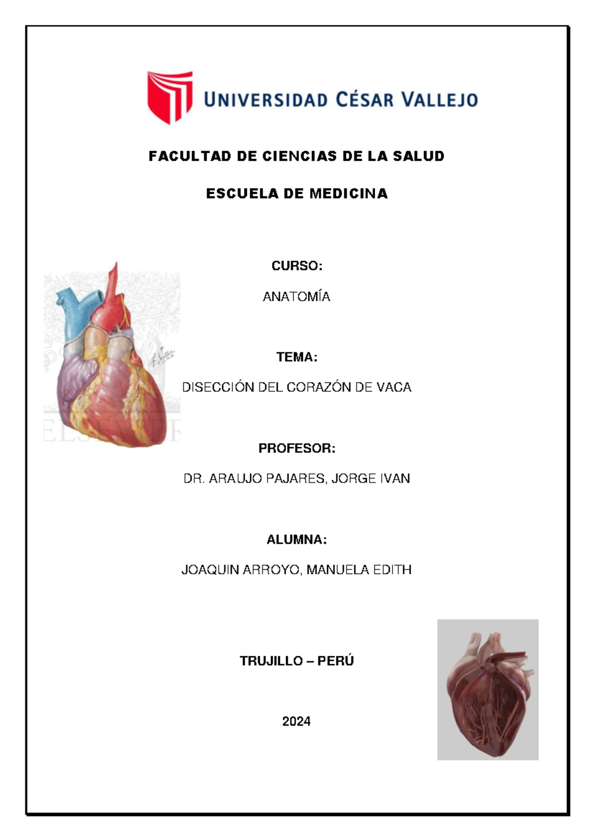 Anatomía: Disección del Corazón de Vaca - Curso de Medicina 2024 - Studocu