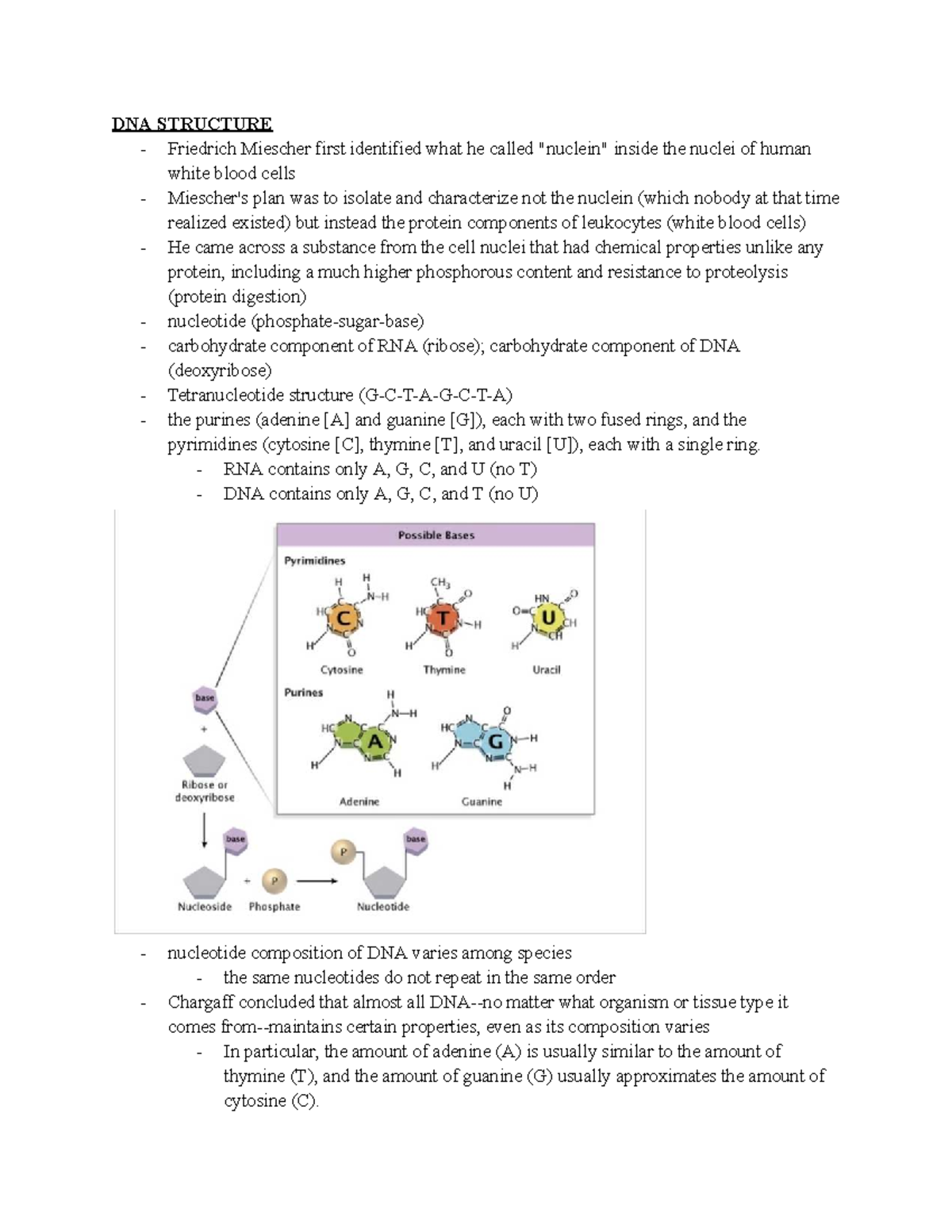 BIO 302 Lecture Notes: DNA Structure and Replication Overview - Studocu