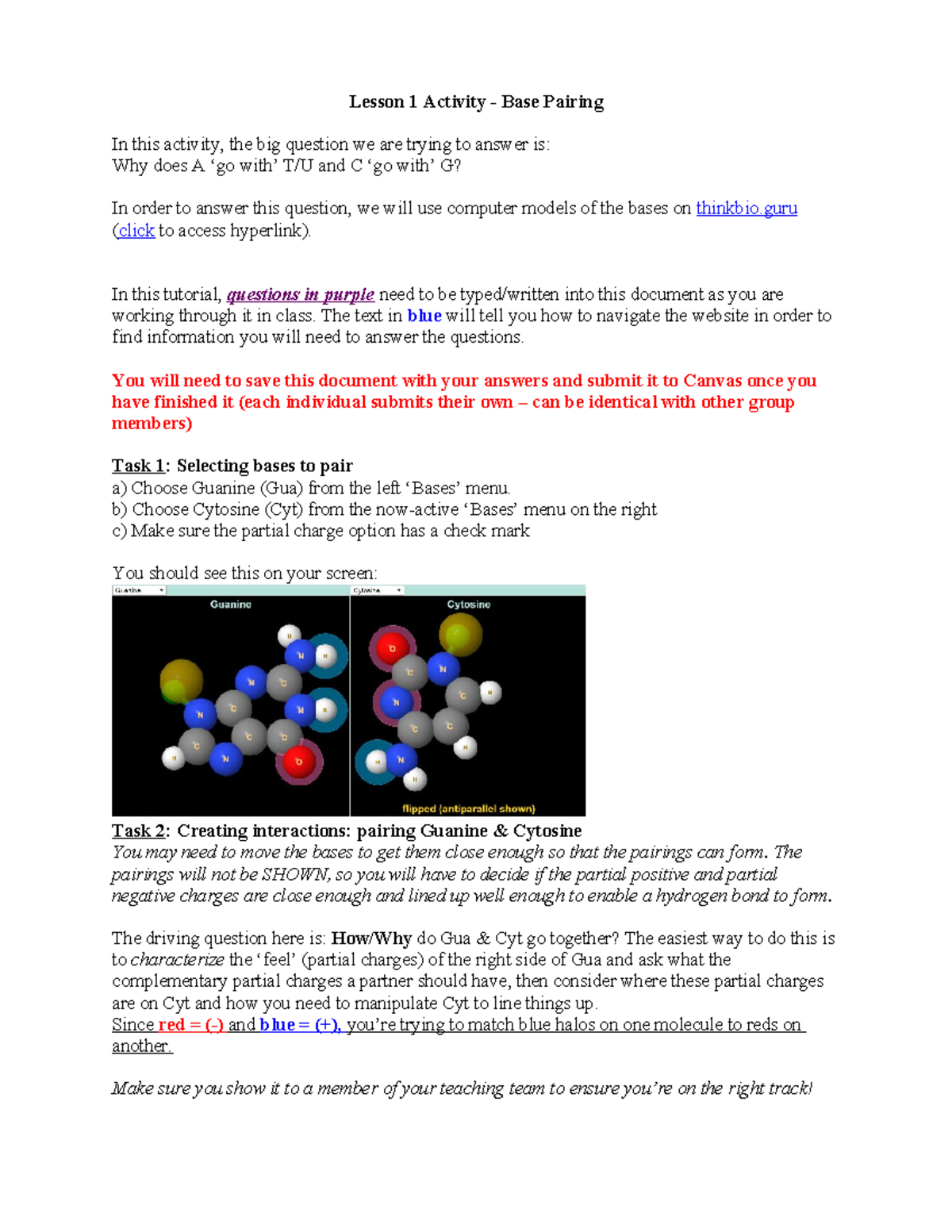 Lesson 1 Activity: Base Pairing in Genetics (Assignment 1) - Studocu