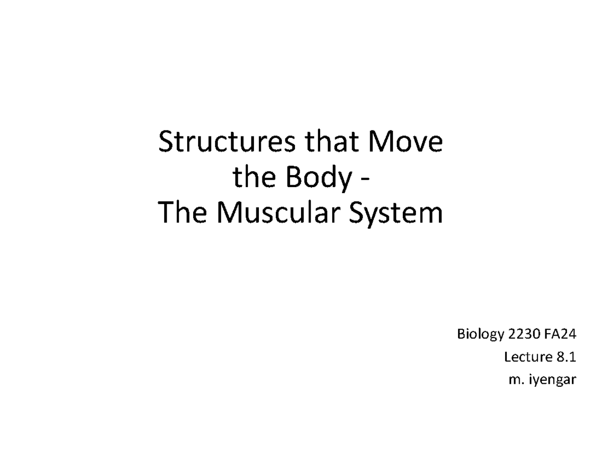 Muscular System Overview - Biology 2230 FA24 Lecture 8.1 Notes - Studocu