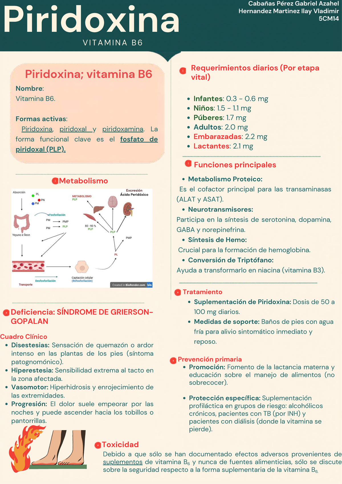 Vitamina B6: Funciones, Requerimientos y Toxicidad - 5CM14 - Studocu