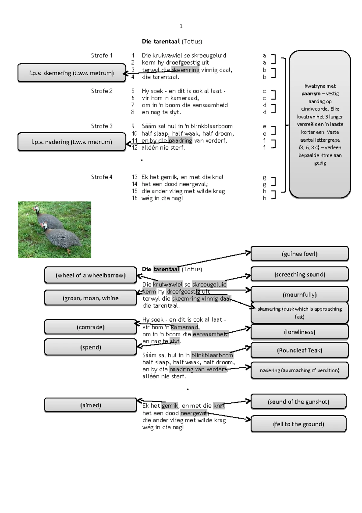 Grade 11 Afrikaans Poem Analysis: 'Tarentaal' Insights and Themes - Studocu