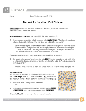 Gizmo Exploration: Food Chain - Student Exploration: Food Chain ...