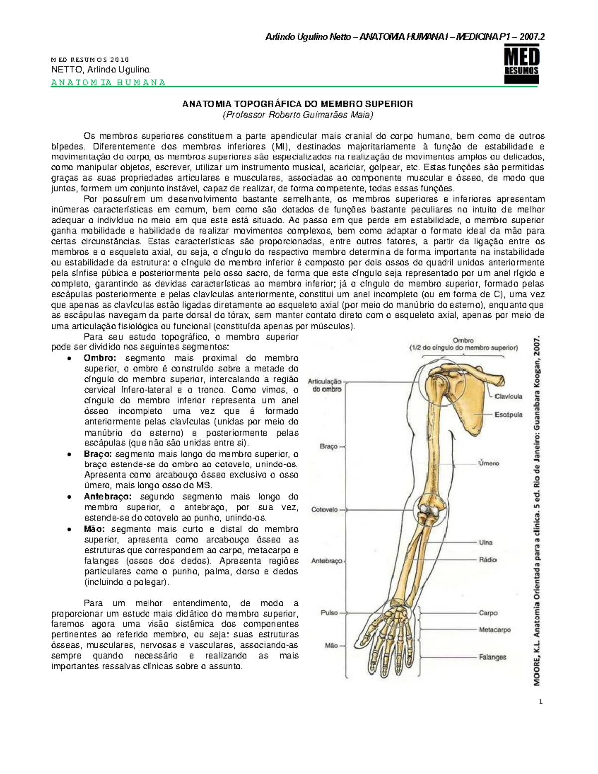 Anatomia - Descrição - Normalidade: Aquilo que é comum e mais frequente ...