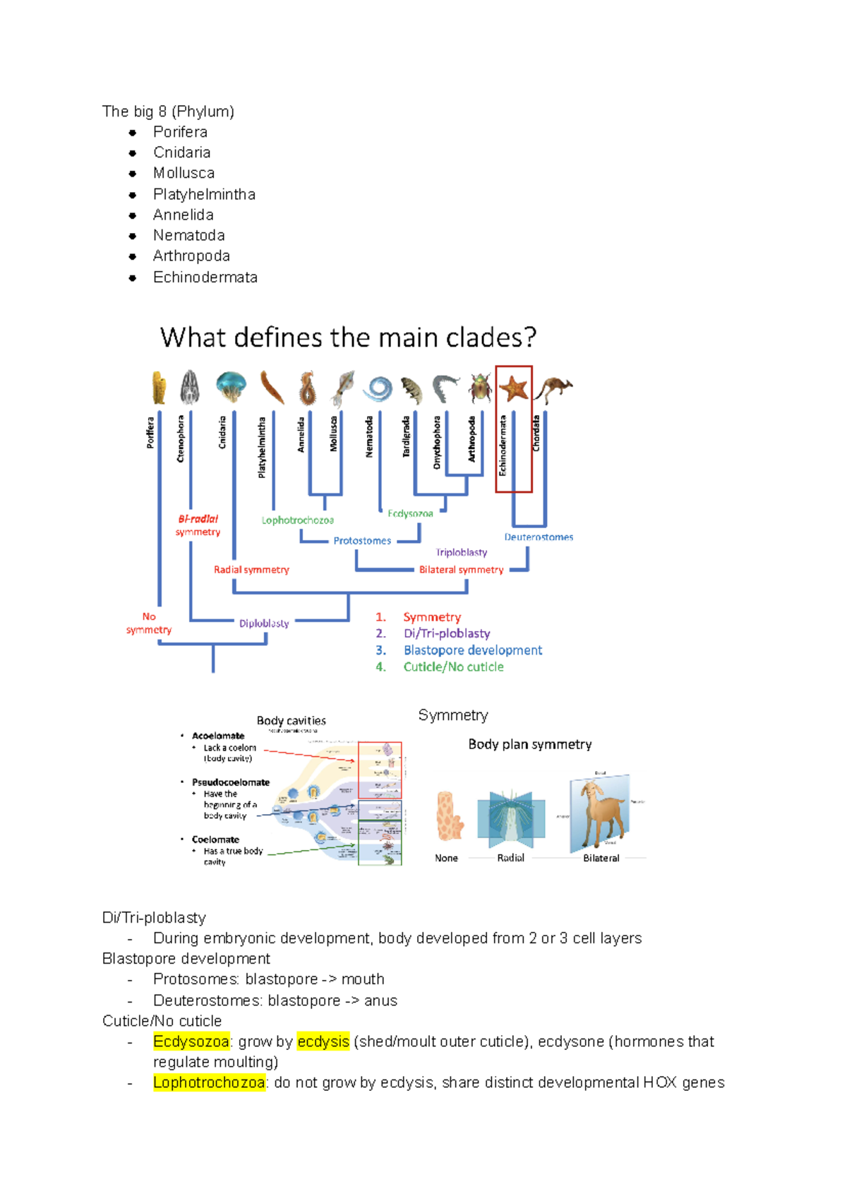 BIOL2021 Prac Exam - Notes on practical exam - The big 8 (Phylum ...