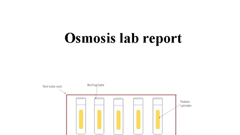 Osmosis Lab Report: Effect of NaCl Concentration on Potato Chips (T4A ...