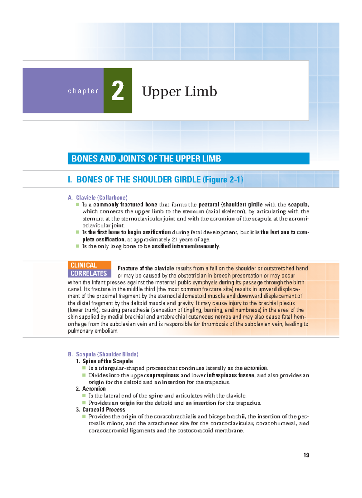 Chapter 2: Upper Limb Anatomy - Bones & Joints Overview (BRS) - Studocu