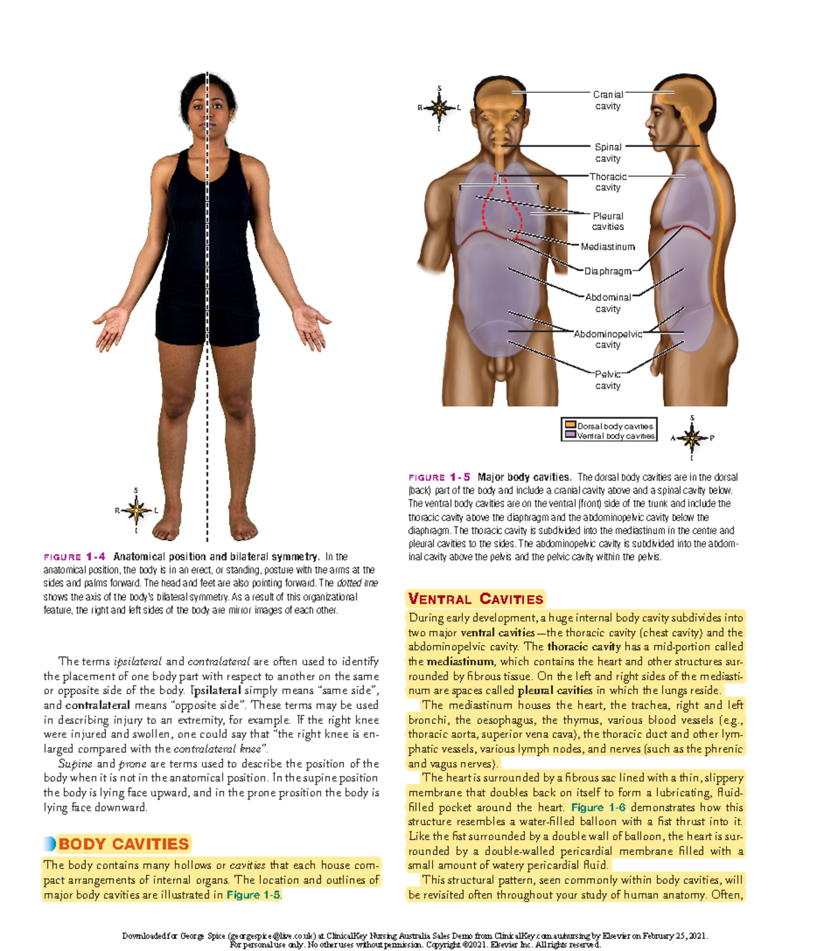 Module 2 Topic 3: Body Cavities and Anatomical Terminology - Studocu