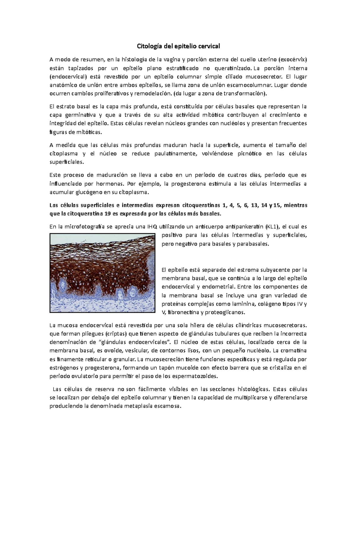 LSIL - Ascus - HSIL - Citologia Inflamatória (ASCUS, LSIL, HSIL ...