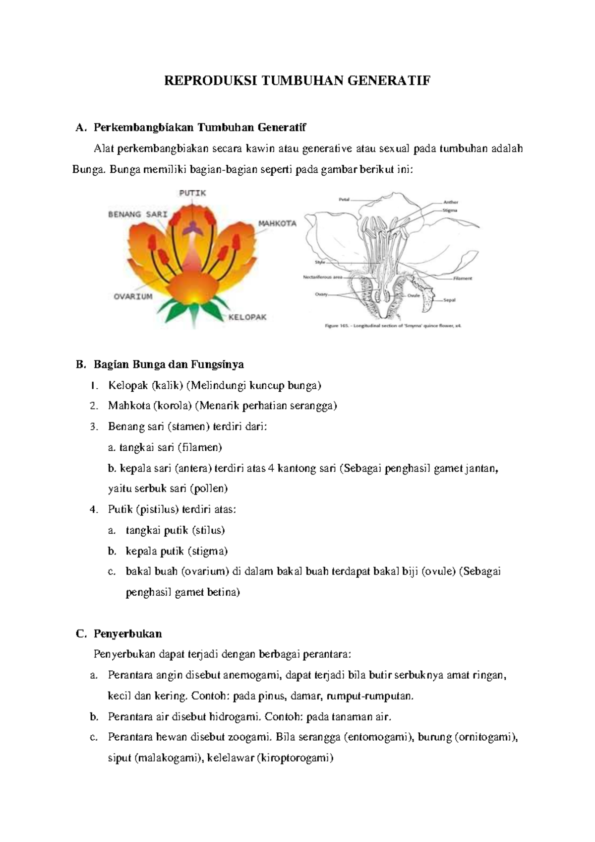 Reproduksi Tumbuhan Generatif_Dasar Budidaya Tanaman - REPRODUKSI ...