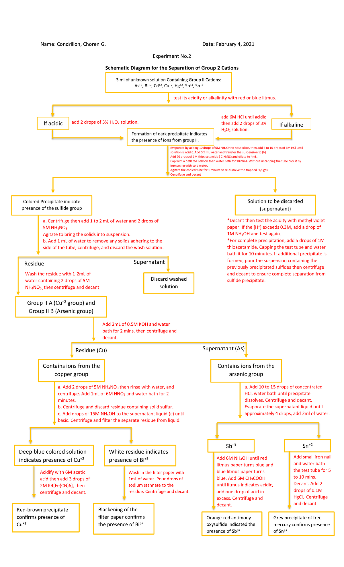 Group II Cations Schematic Diagram - Name: Condrillon, Choren G. Date ...