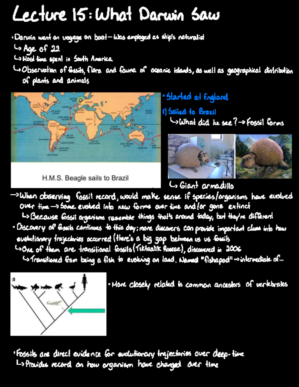 Lecture 15: Insights from Darwin's Voyage and Evolutionary Evidence ...