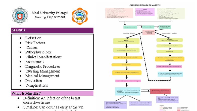 Mastitis Overview: Definition, Risk Factors, and Nursing Management ...